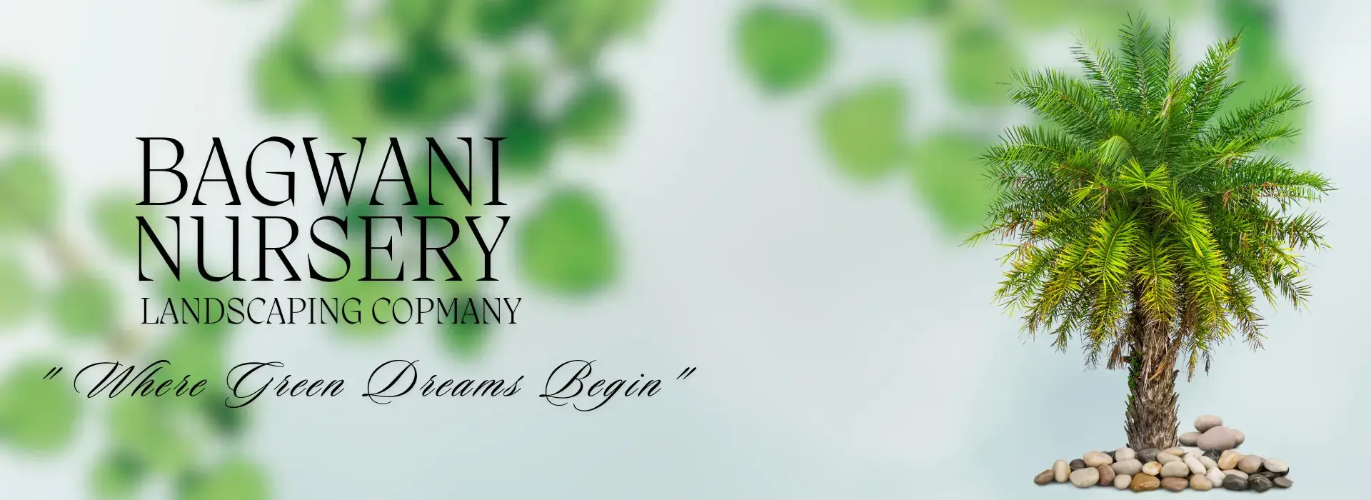 The Finest Nursery In Saharanpur | Bagwani Wholesale Nursery