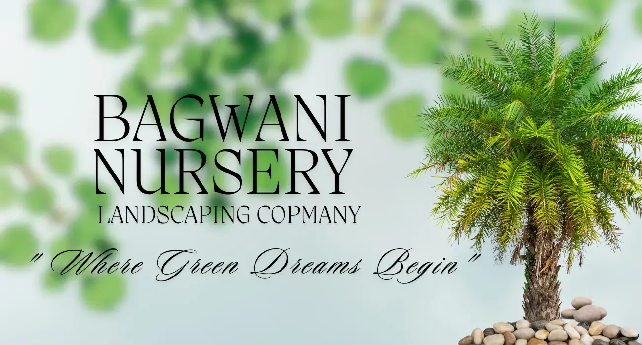 The Finest Nursery In Saharanpur | Bagwani Wholesale Nursery